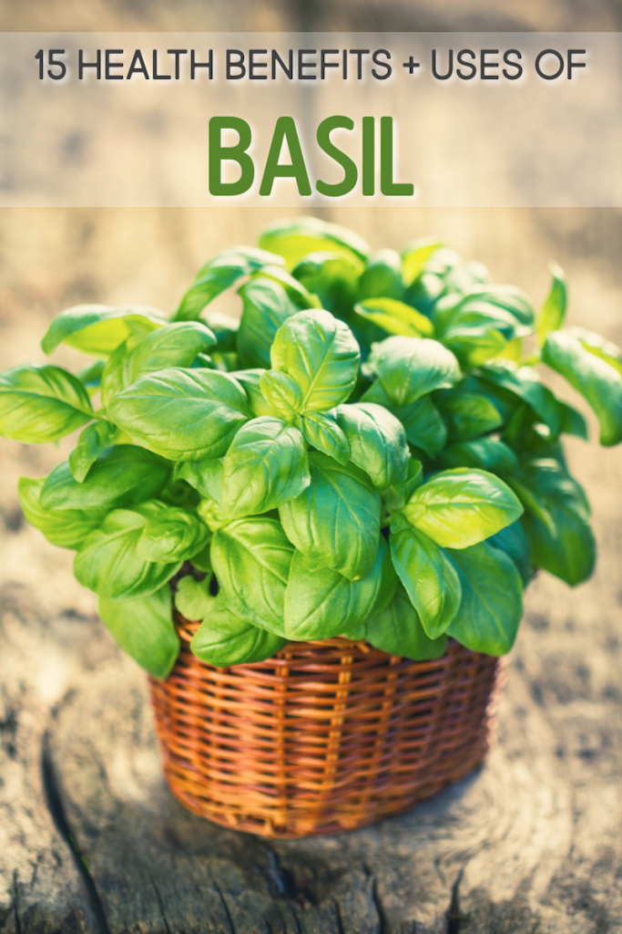 15 Health Benefits of Basil and How to Use it (with Recipes!)